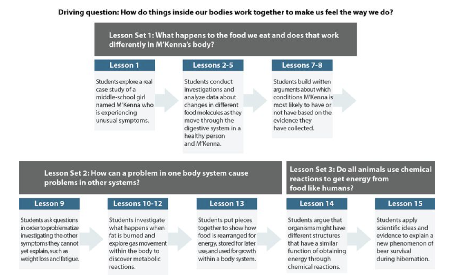 7th Grade Metabolic Reactions - MS-LS1-3, MS-LS1-5, MS-LS1-7, MS-PS1-1 ...