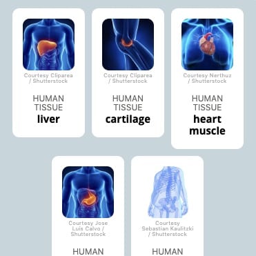 7th Grade Metabolic Reactions - MS-LS1-3, MS-LS1-5, MS-LS1-7, MS-PS1-1 ...