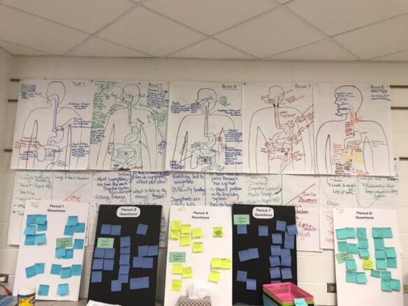 Driving Question Board - OpenSciEd